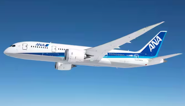 ANA vs JAL Major Airlines in Japan - Japan Travel Guide